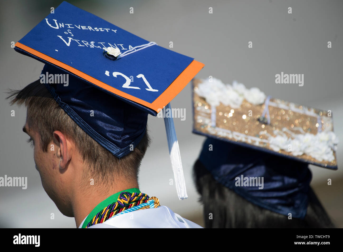 Woodgrove Stock Photos & Woodgrove Stock Images - Alamy
