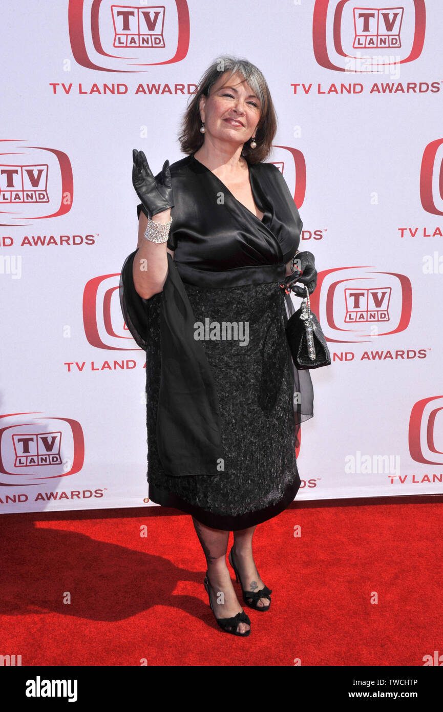 LOS ANGELES, CA. June 08, 2008: Roseanne at the 6th Annual TV Land ...
