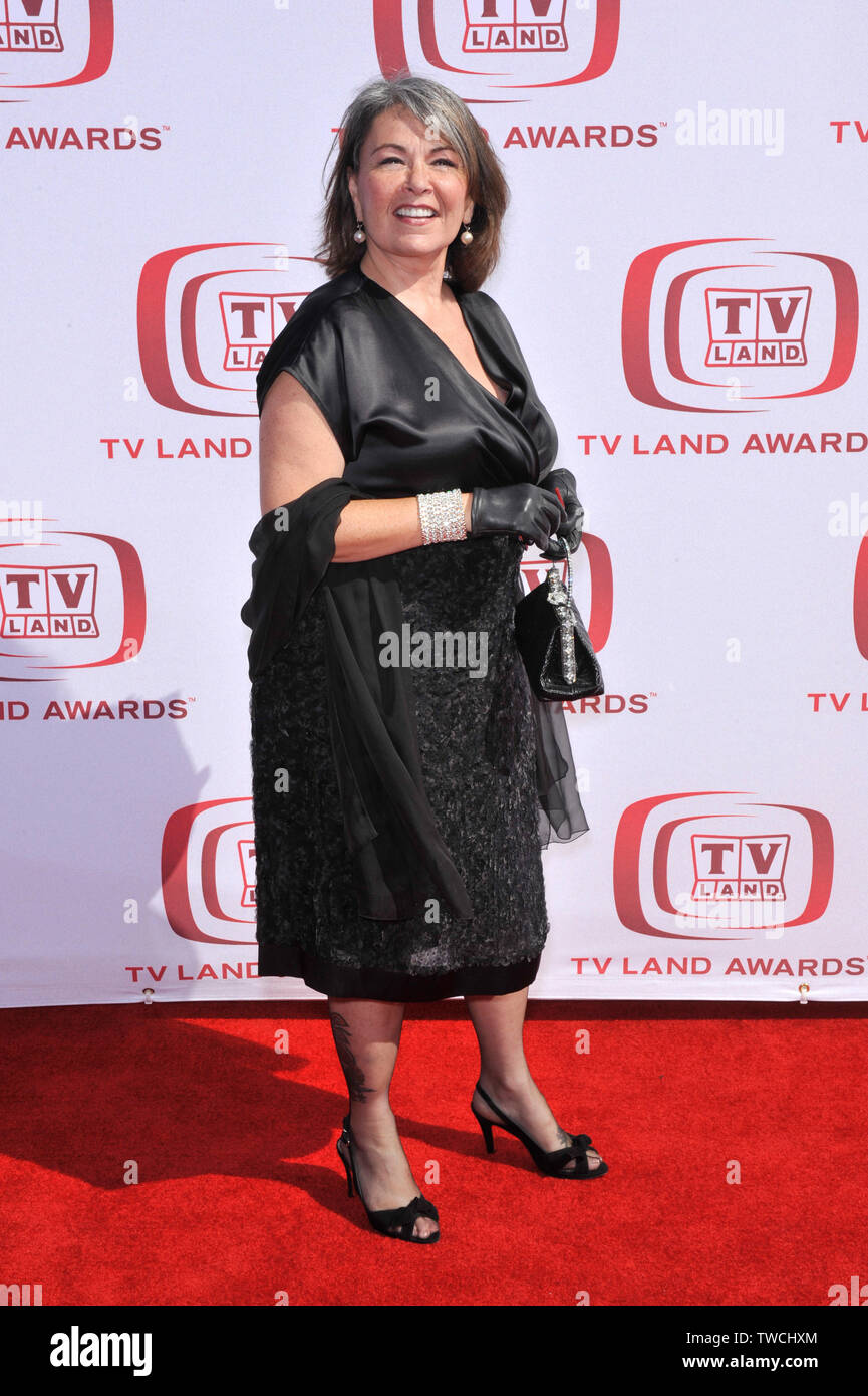 LOS ANGELES, CA. June 08, 2008: Roseanne at the 6th Annual TV Land ...