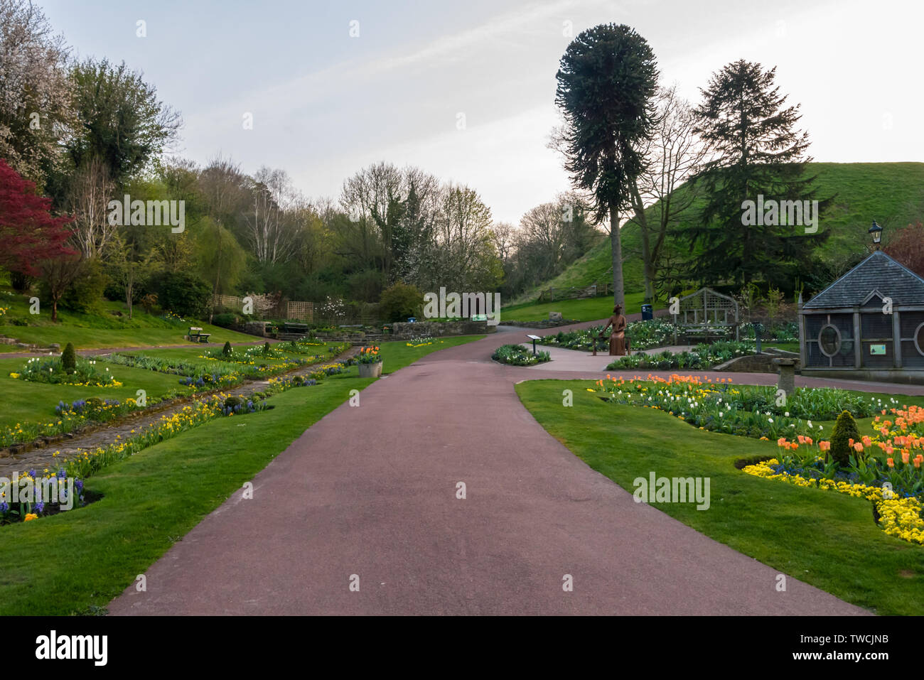 Flowers and Greenery at Carlisle Park, Morpeth, in Springtime Stock ...