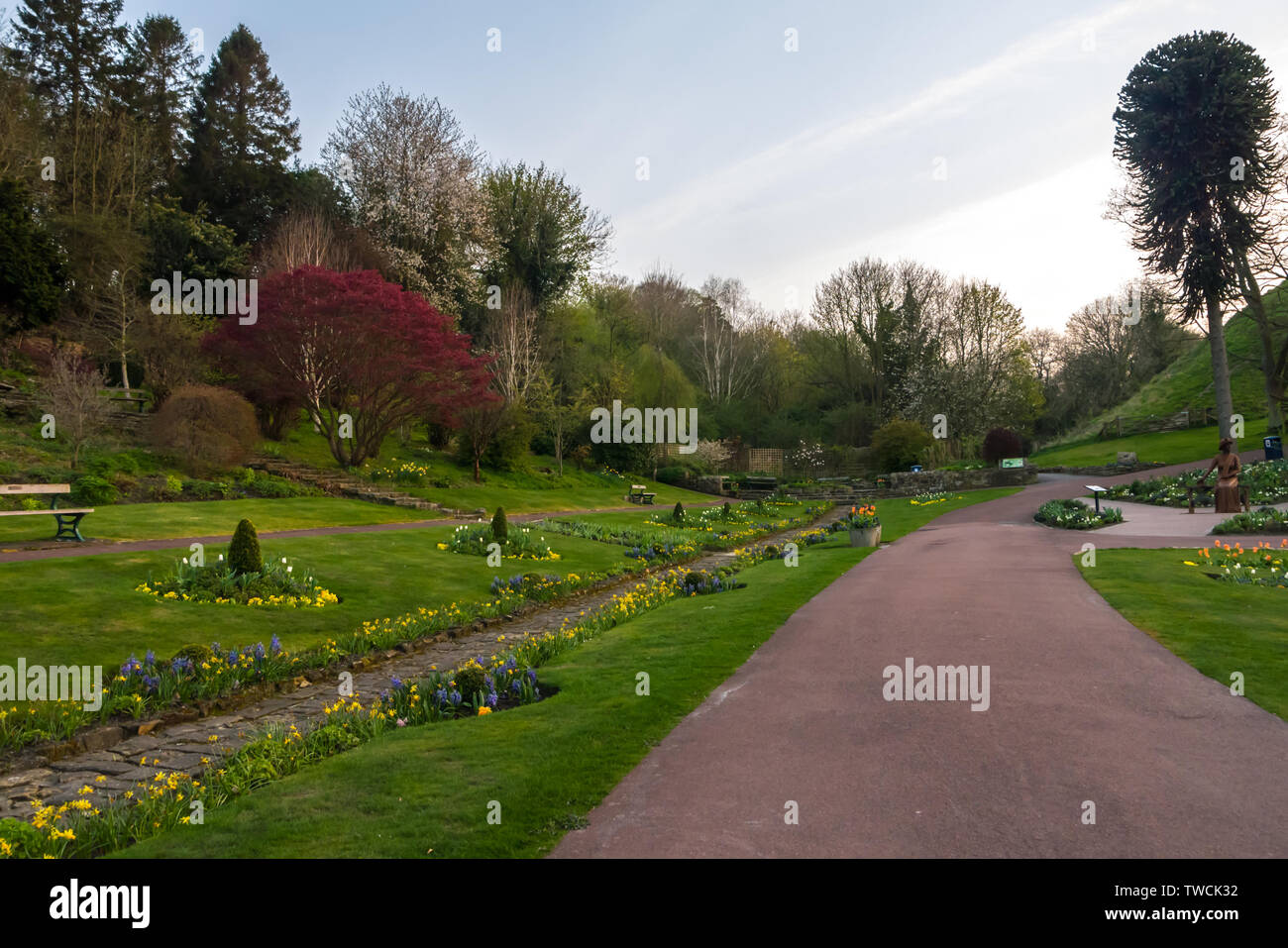 Flowers and Greenery at Carlisle Park, Morpeth, in Springtime Stock ...