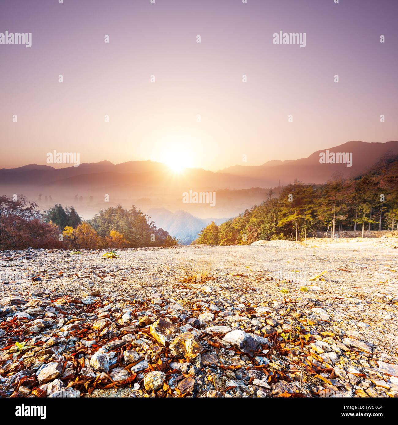 Photograph of nature park Stock Photo - Alamy