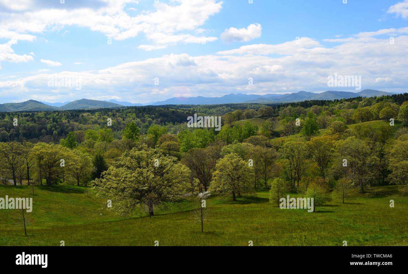 Countryside view of trees and mountains Stock Photo - Alamy