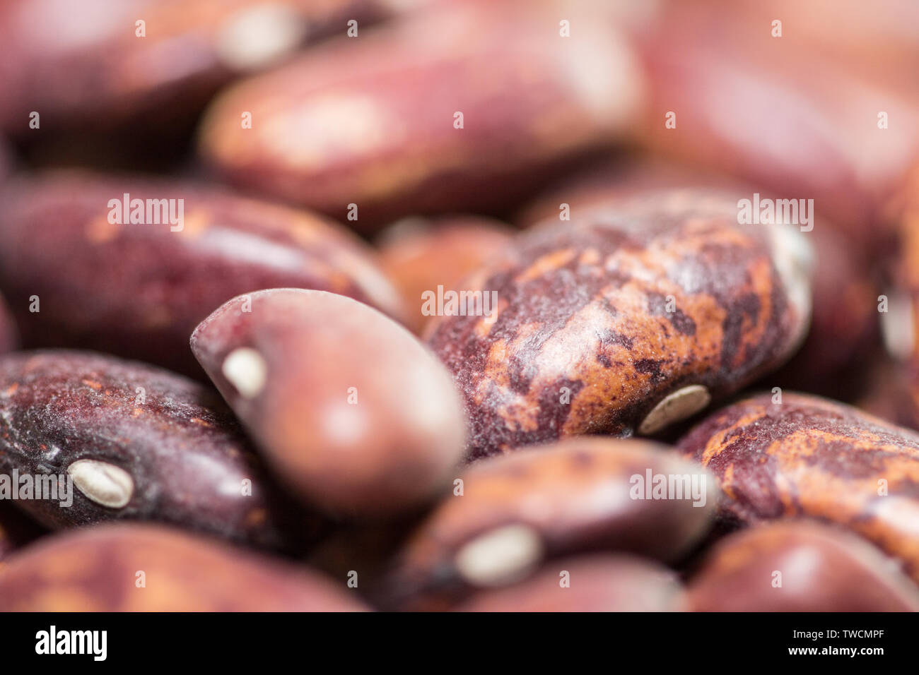 Background of many grains of dried beans. Brown beans texture. Food ...