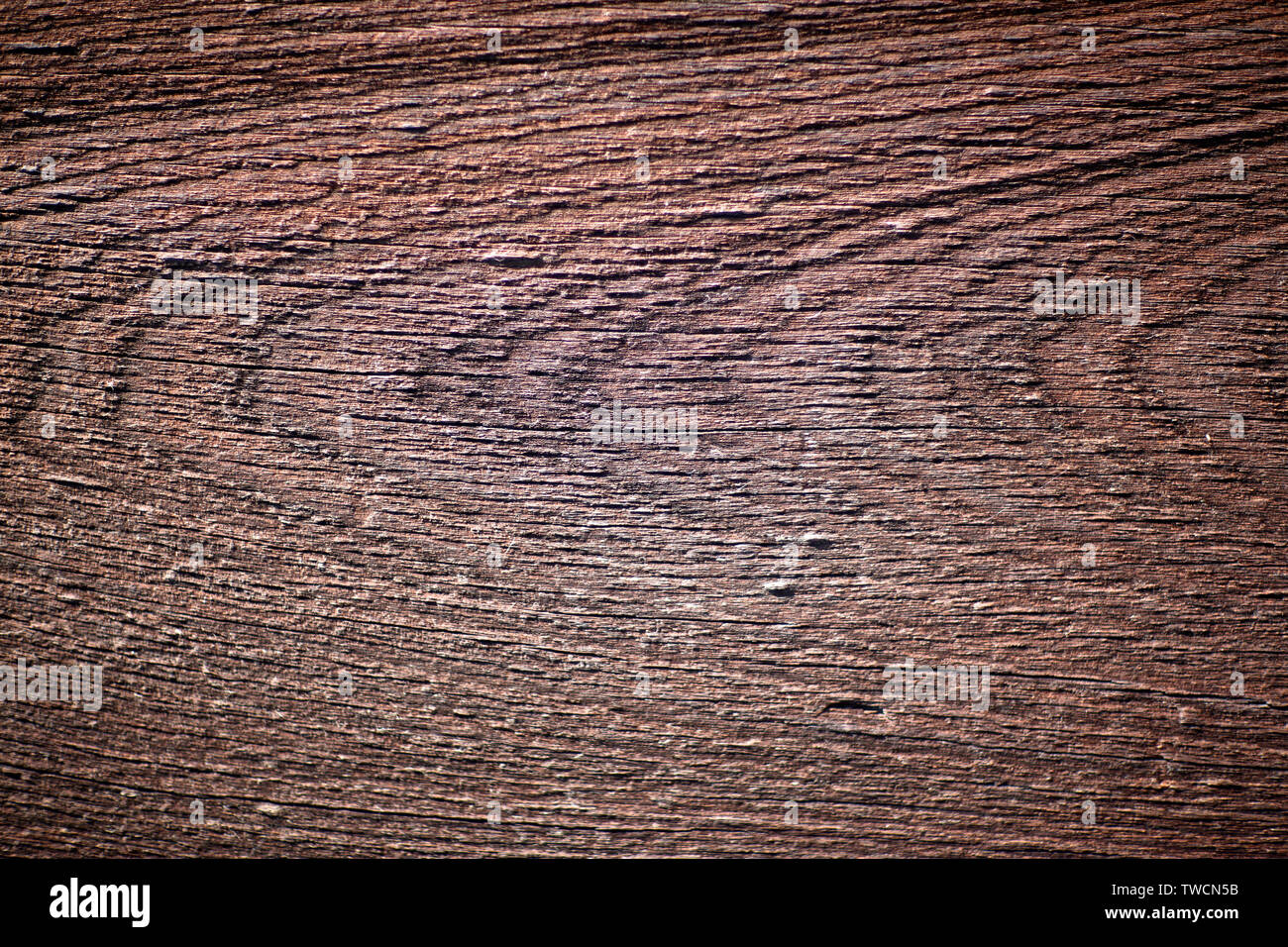 Longitudinal furrow hi-res stock photography and images - Alamy