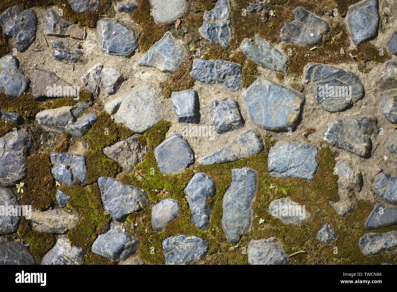 Cobblestone strip hi-res stock photography and images - Alamy
