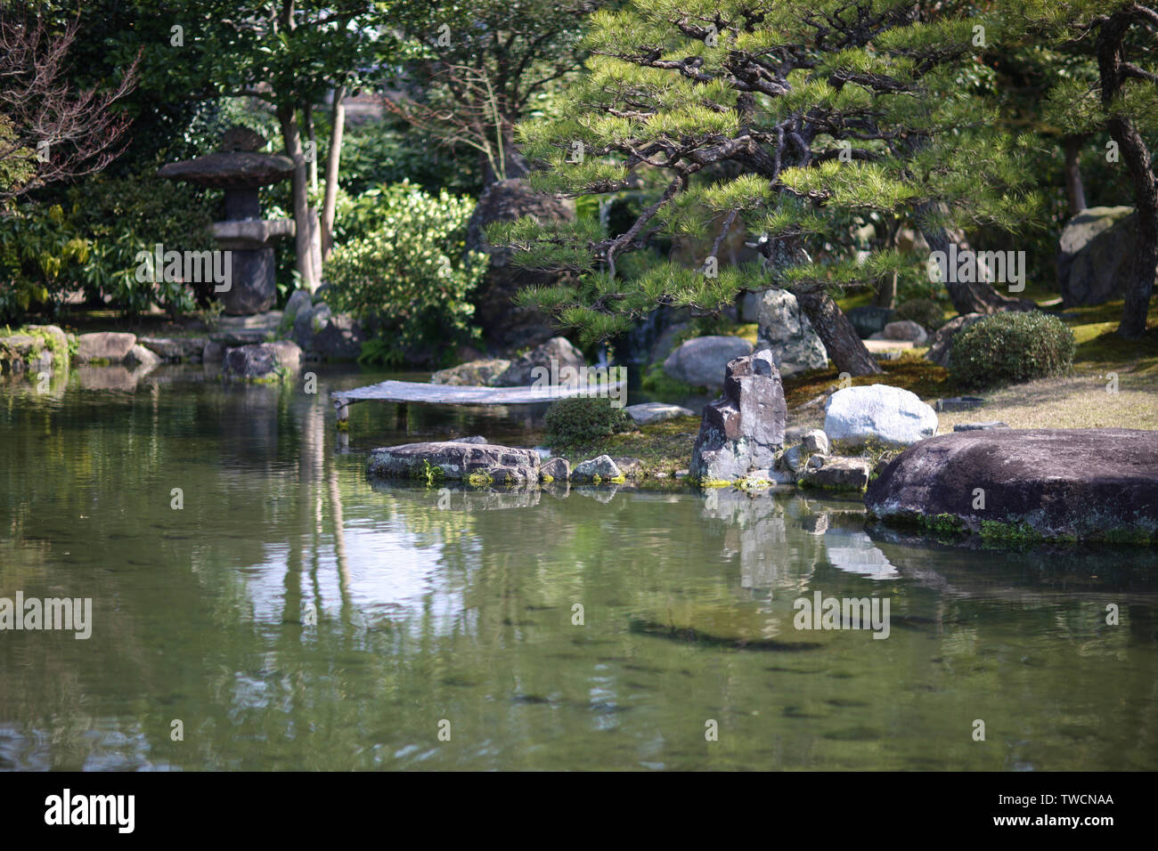 Corner of a traditional Japanese garden with a pond and stones. Tokyo ...