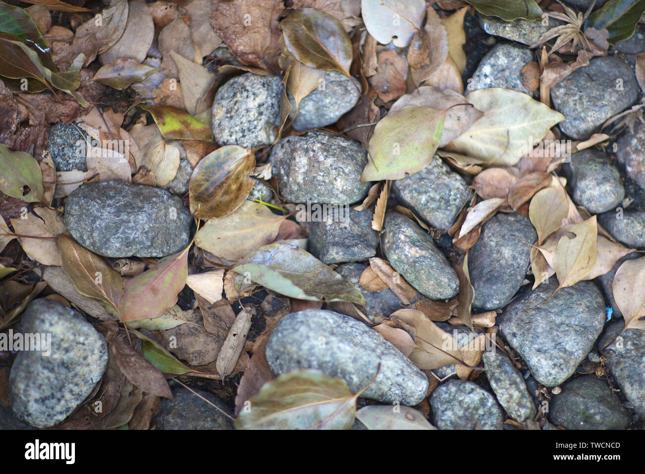 Intersperses hi-res stock photography and images - Alamy