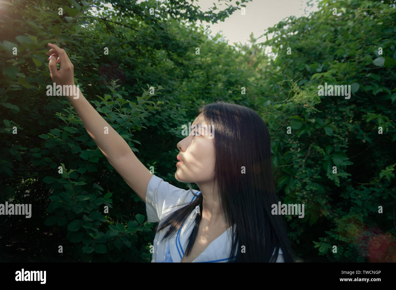 Beiling hi-res stock photography and images - Alamy