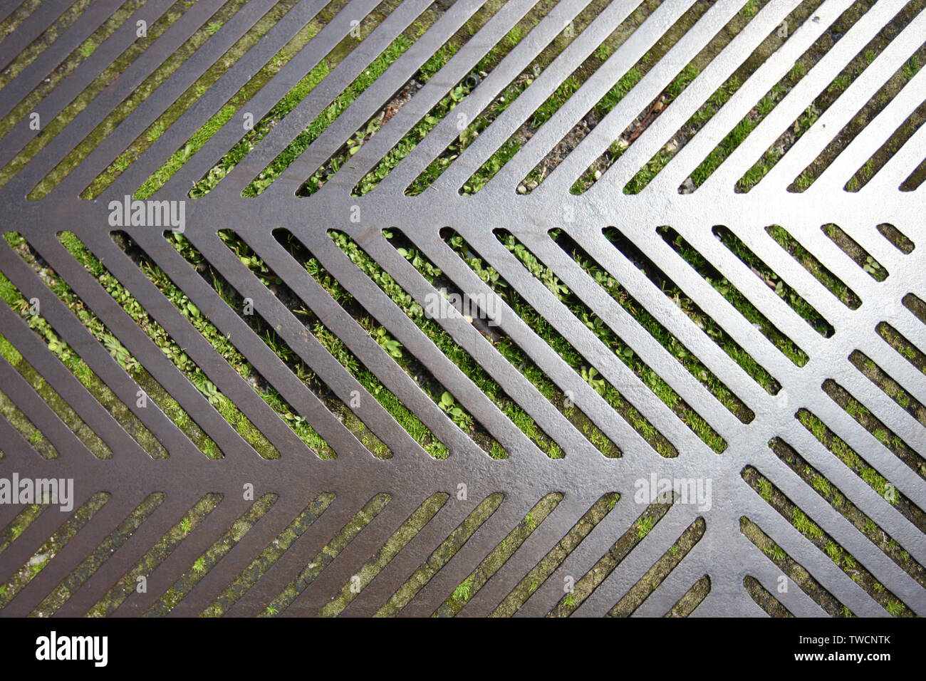 A fragment of a metal grating on the background of green vegetation ...