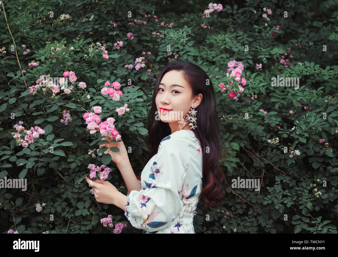 The rose figures Stock Photo - Alamy