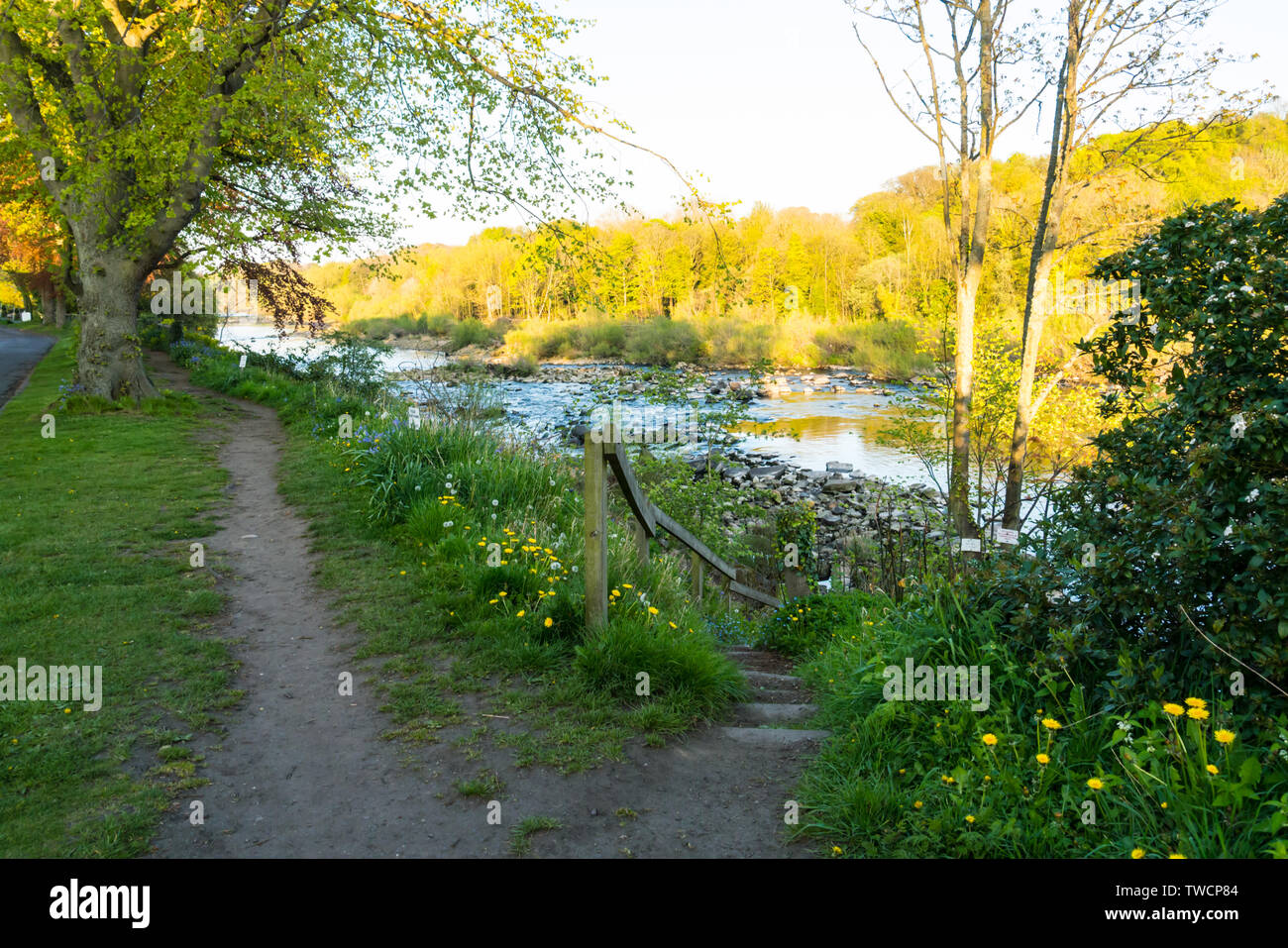 Pathway on river hi-res stock photography and images - Alamy