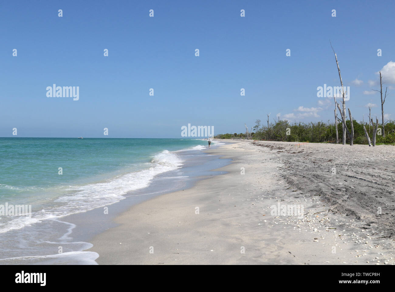 Stump Pass Beach State Park Florida Stock Photo - Alamy