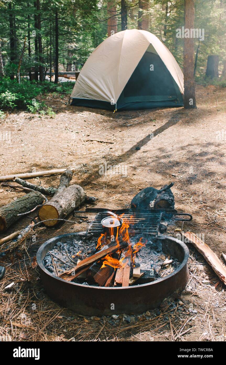 Bonfire and a camp in a forest set by hikers Stock Photo - Alamy