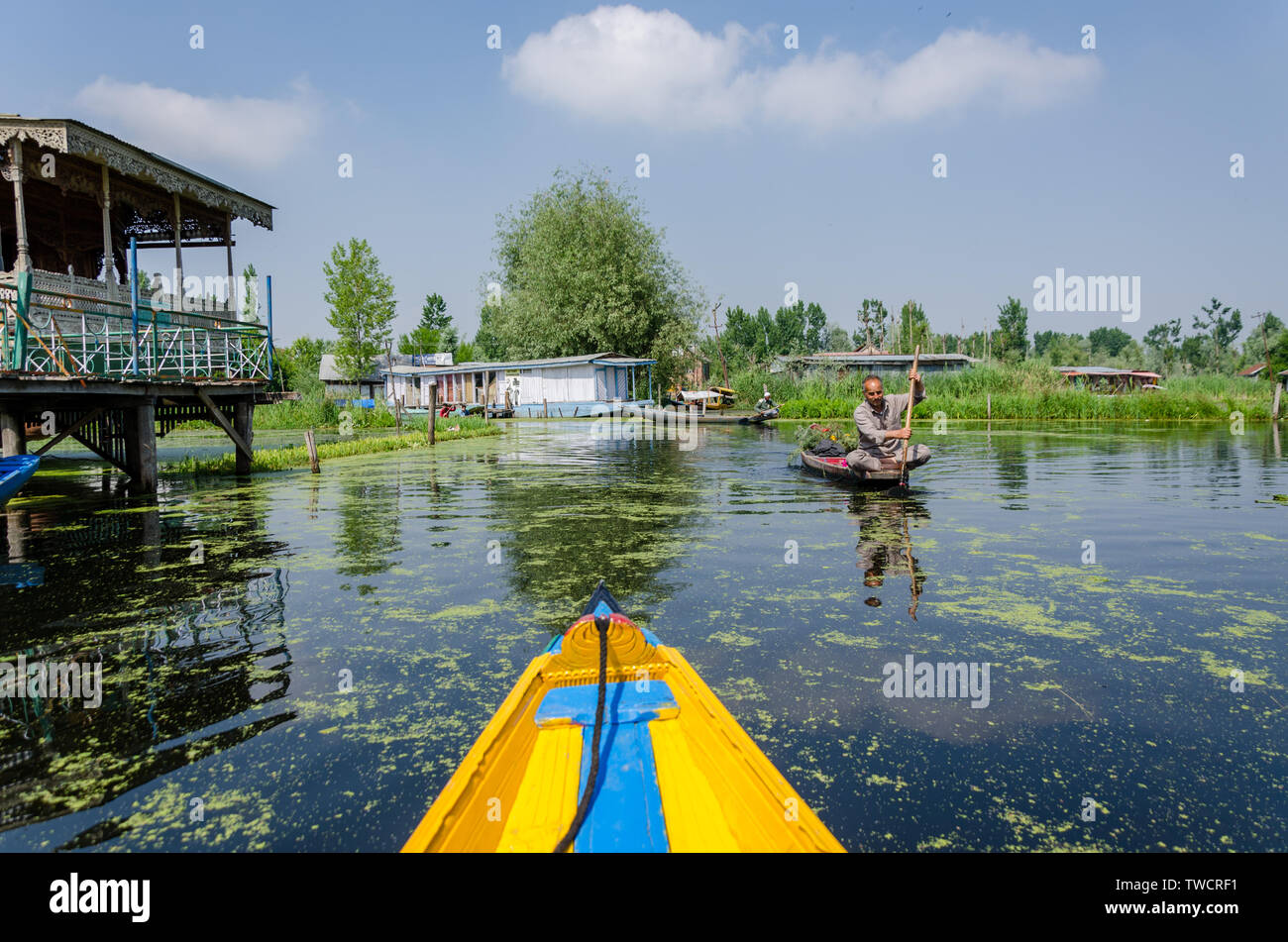 Kashmiri man rowing a shikara hi-res stock photography and images - Alamy