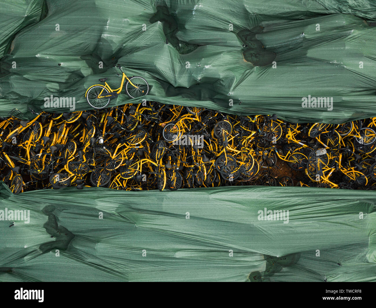The future of shared bicycles Stock Photo - Alamy