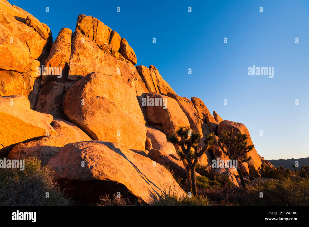 Gold geological park hi-res stock photography and images - Alamy