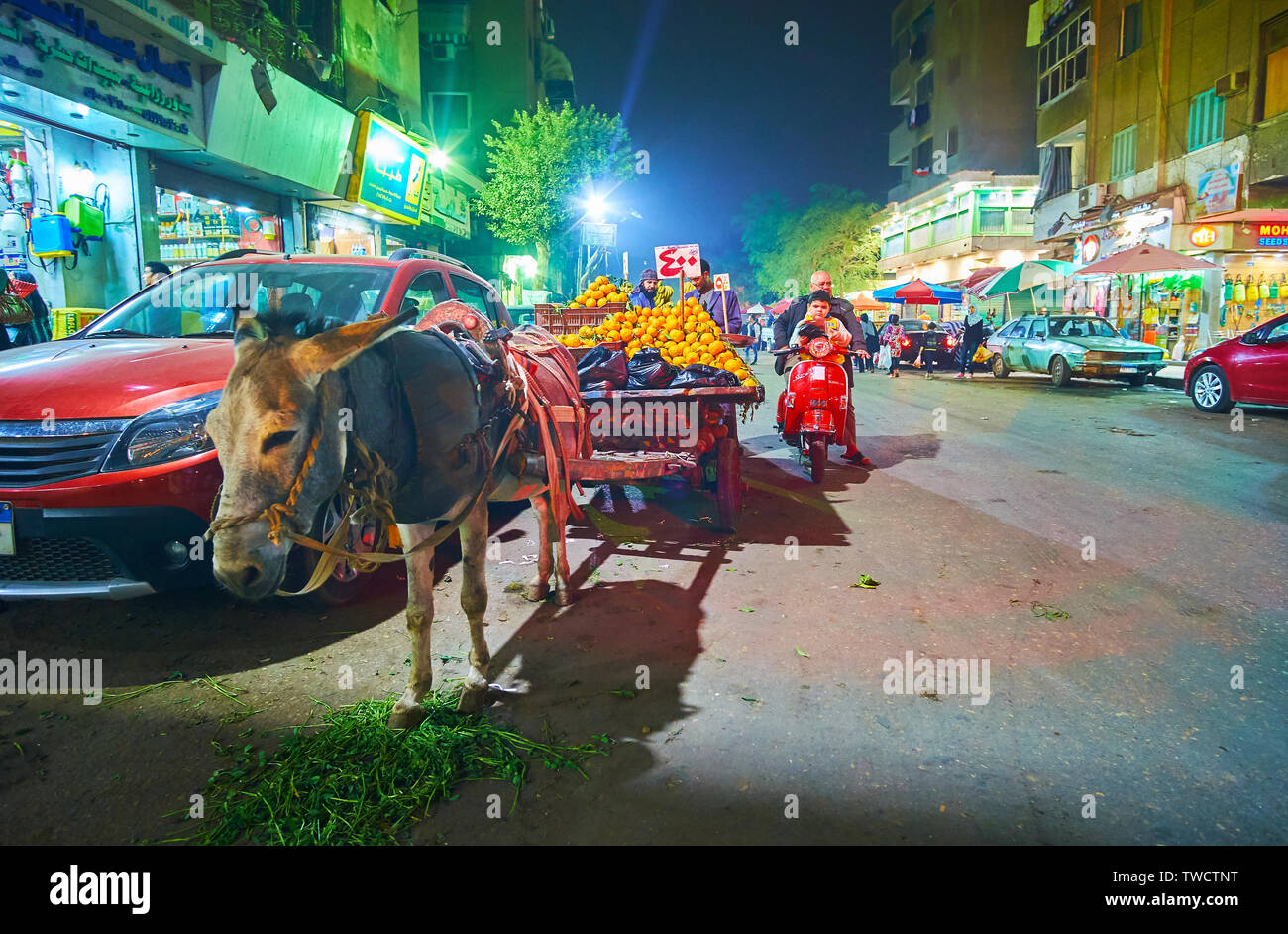 CAIRO, EGYPT - DECEMBER 22, 2017: The donkey drawn cart, full of ...