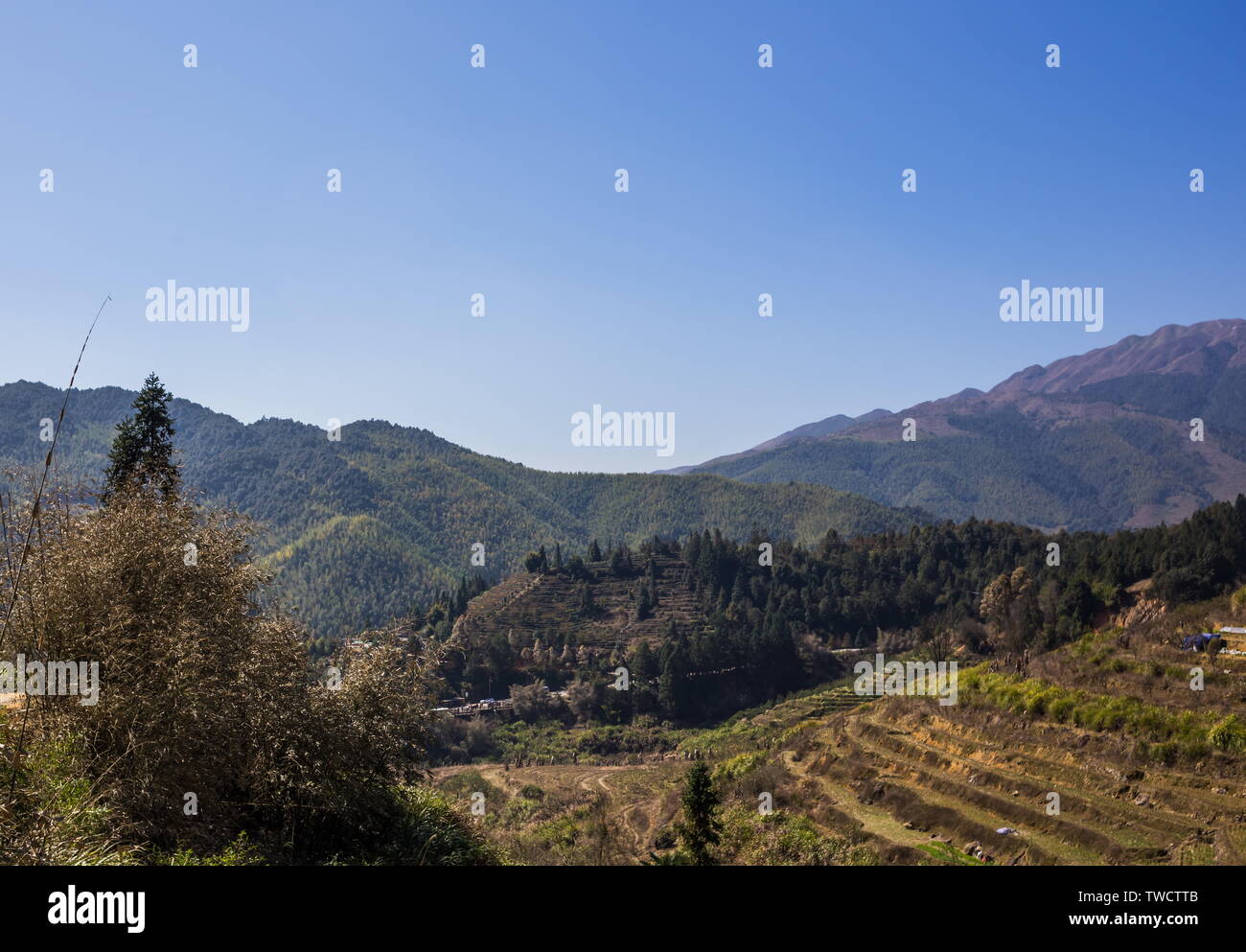 Vision trees and sunset rural hi-res stock photography and images - Alamy