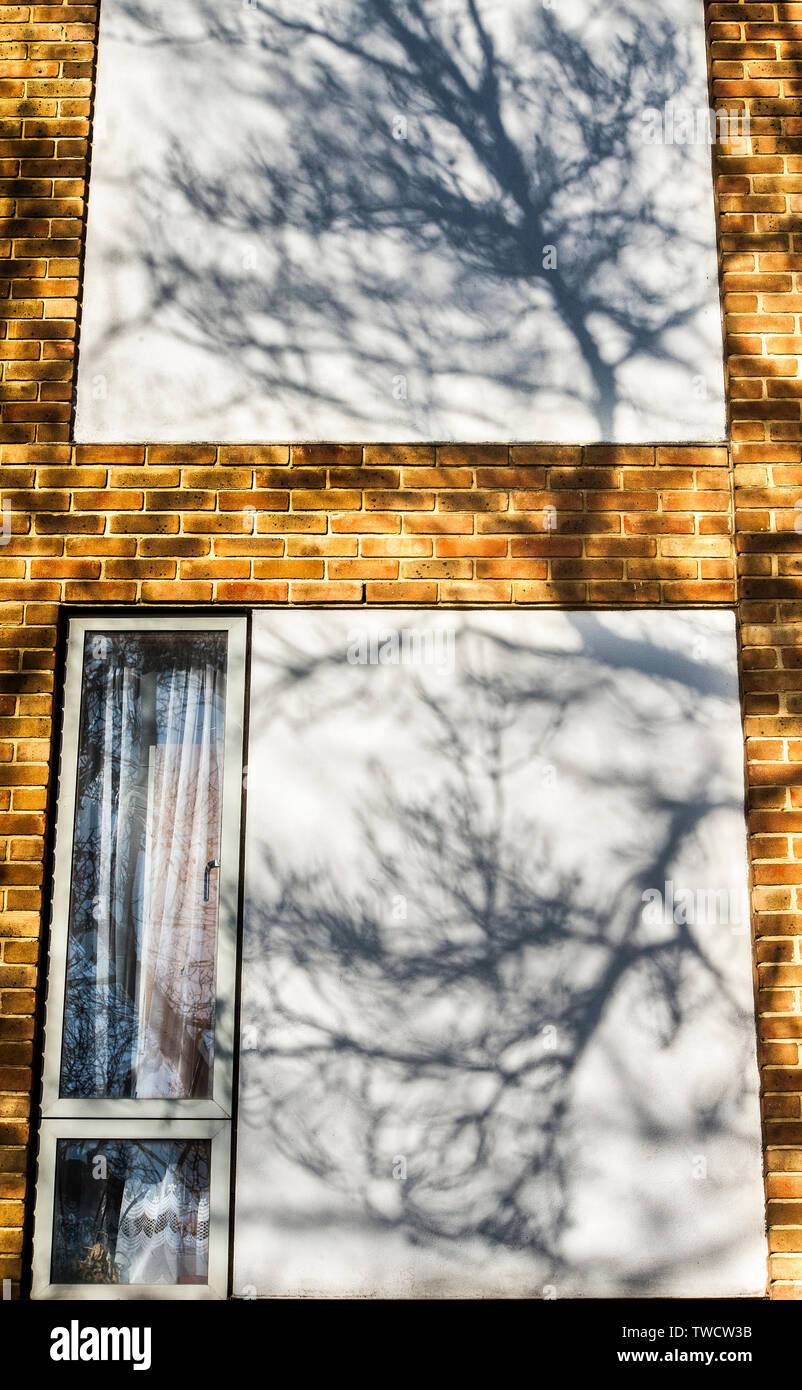 Leaves on the tree with a building in a background hi-res stock ...