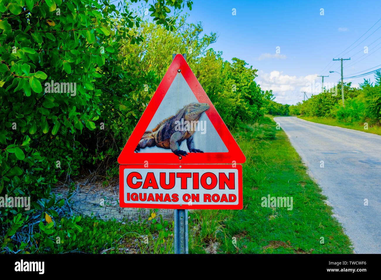 Caribbean road sign hi-res stock photography and images - Alamy