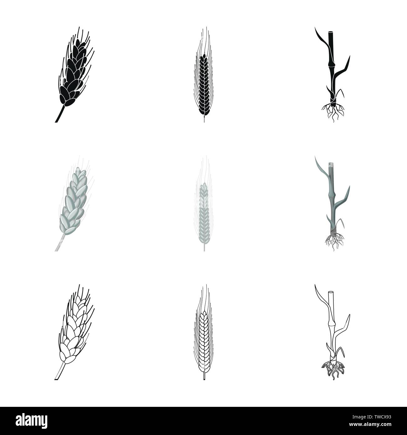 Vector Vectors Stock Vector Image & Art - Alamy