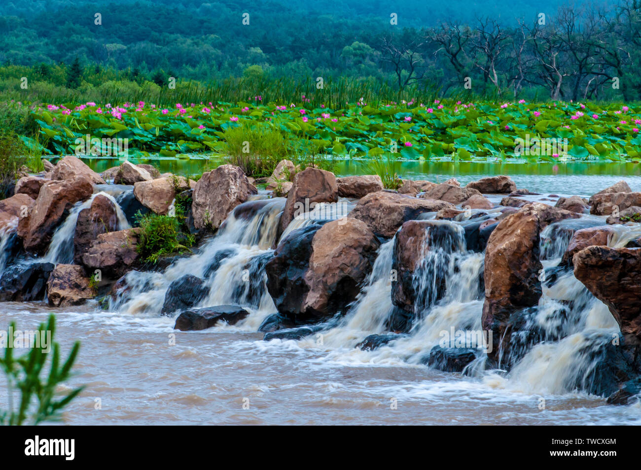 Streams under the lake Stock Photo - Alamy