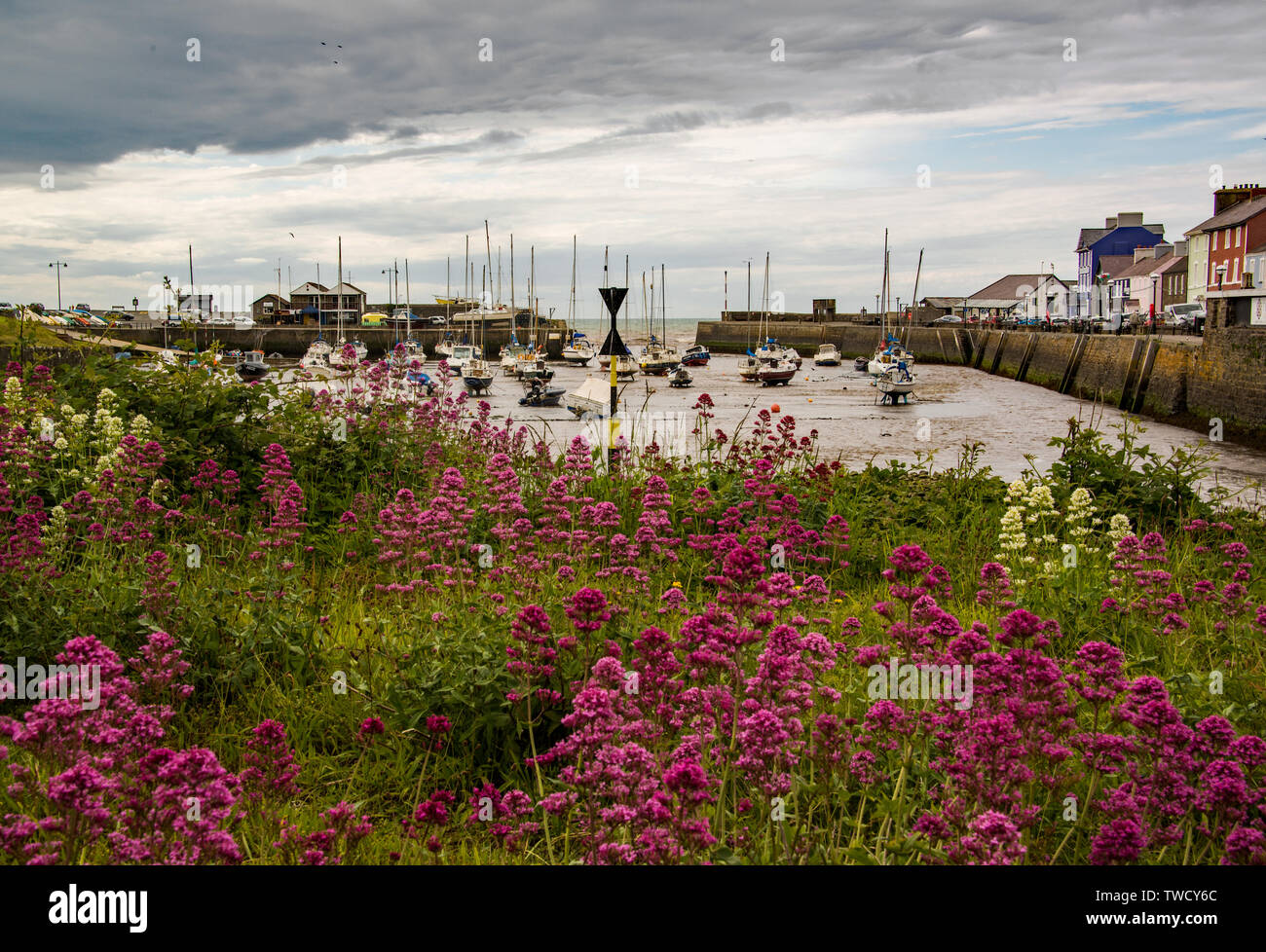 Aberaeron harbour, West Wales. UK Stock Photo - Alamy
