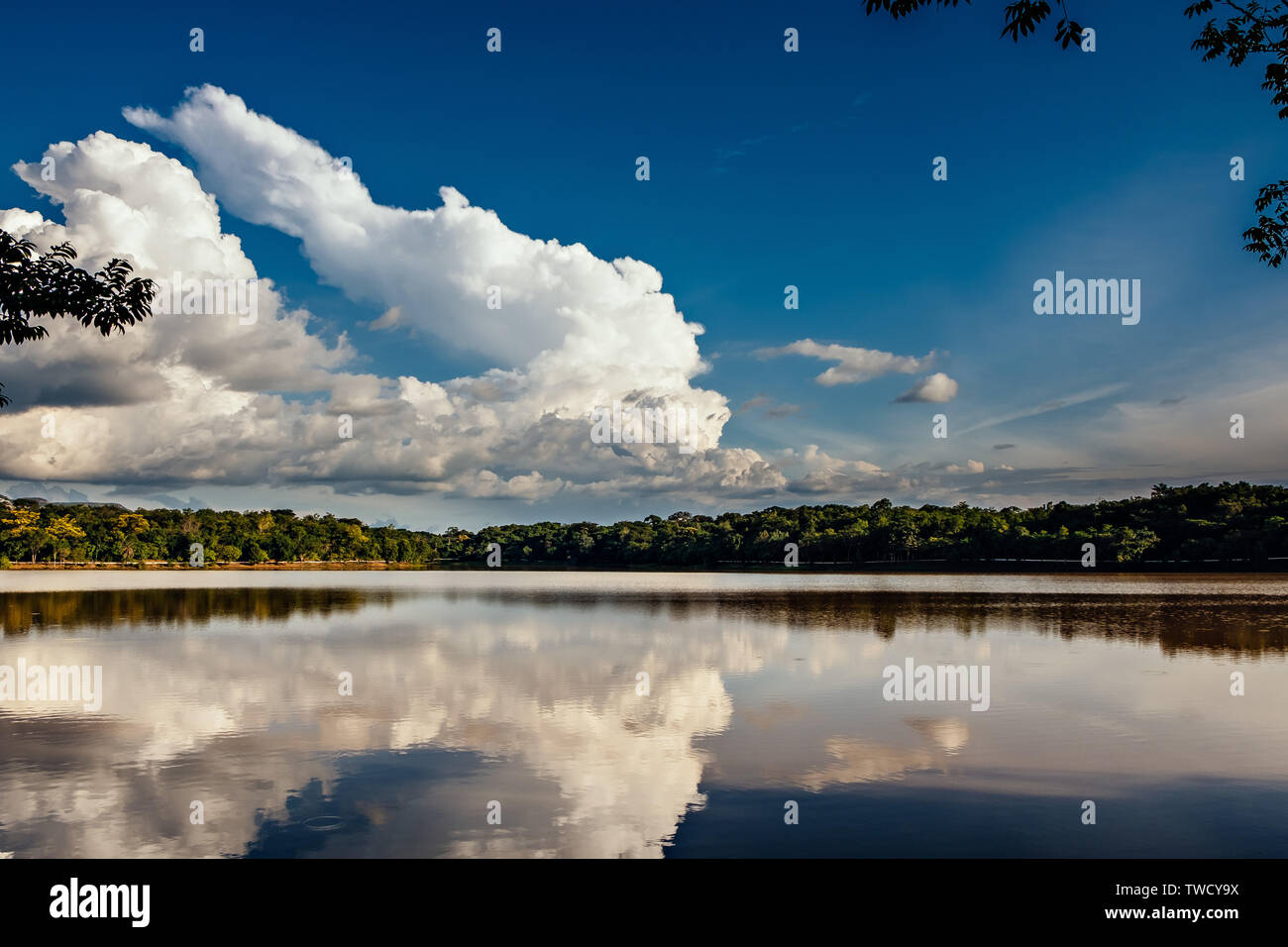 Palmas brazil hi-res stock photography and images - Alamy