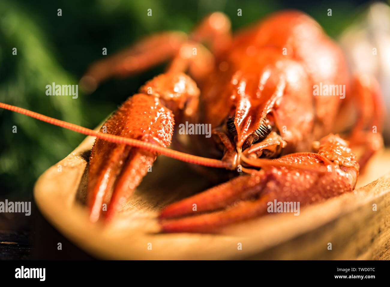 Boiled crayfish on rustic wooden background close Stock Photo - Alamy