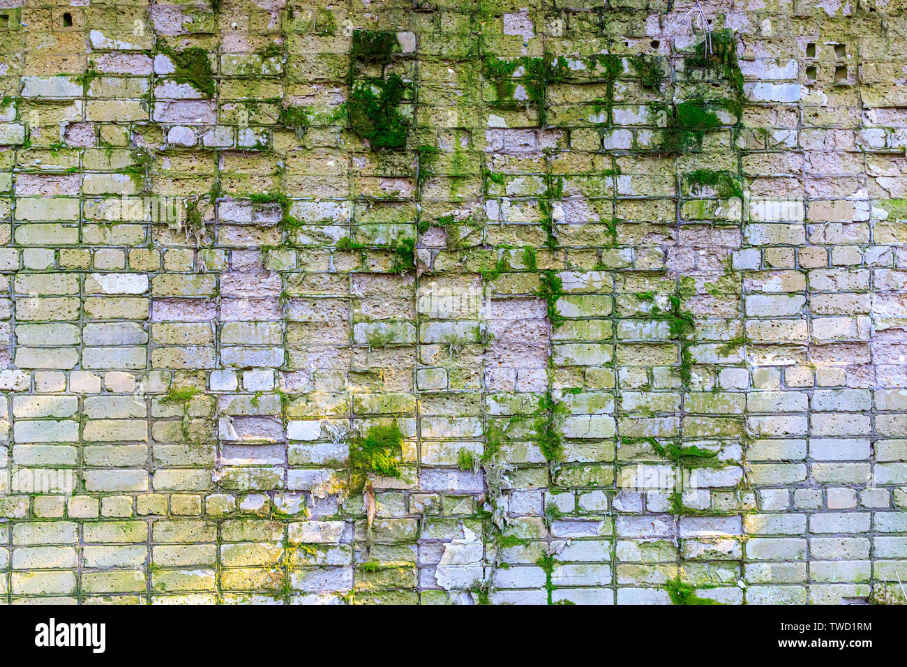 Chernobyl wall texture hi-res stock photography and images - Alamy