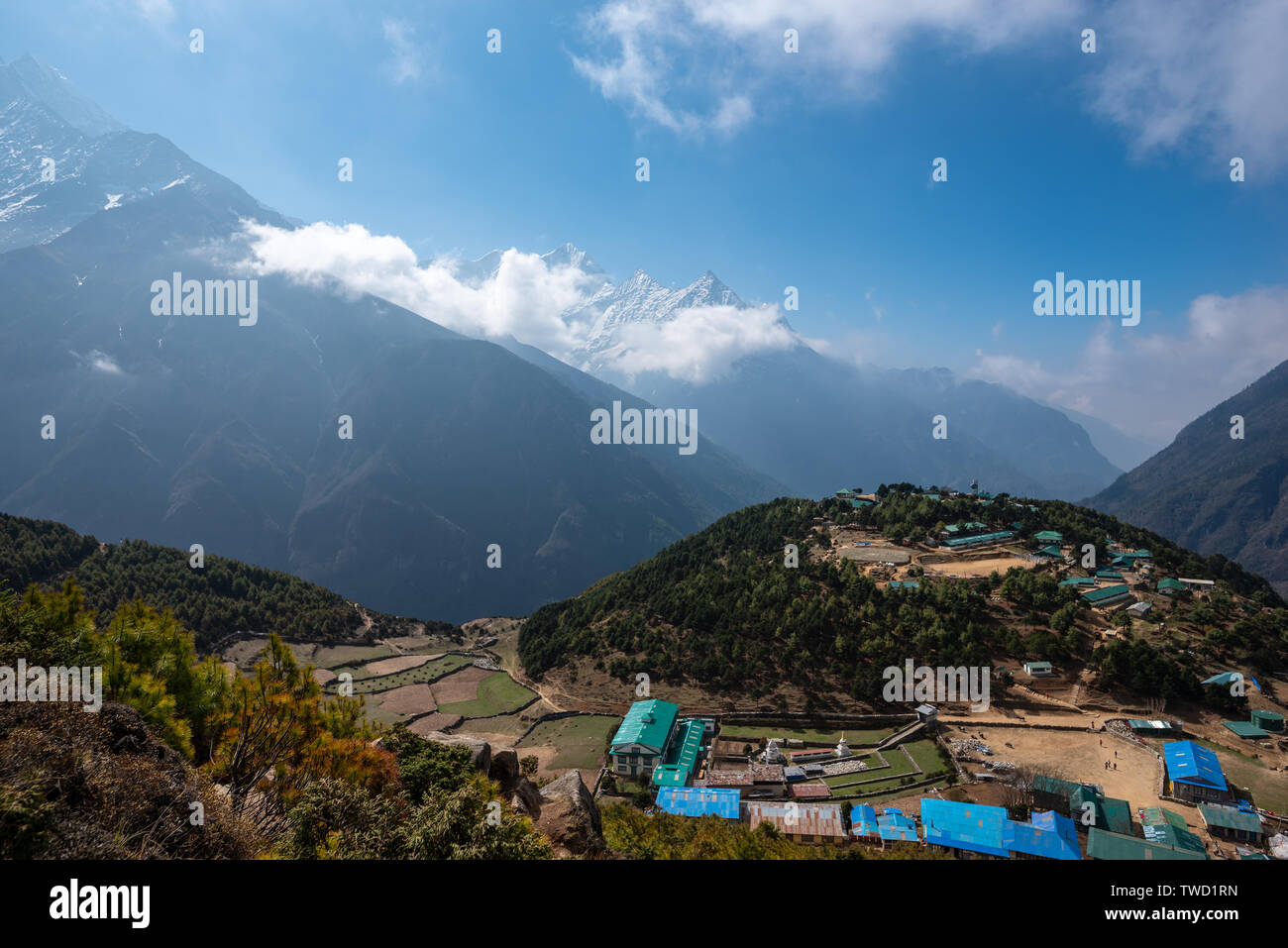 Kusum tree hi-res stock photography and images - Alamy