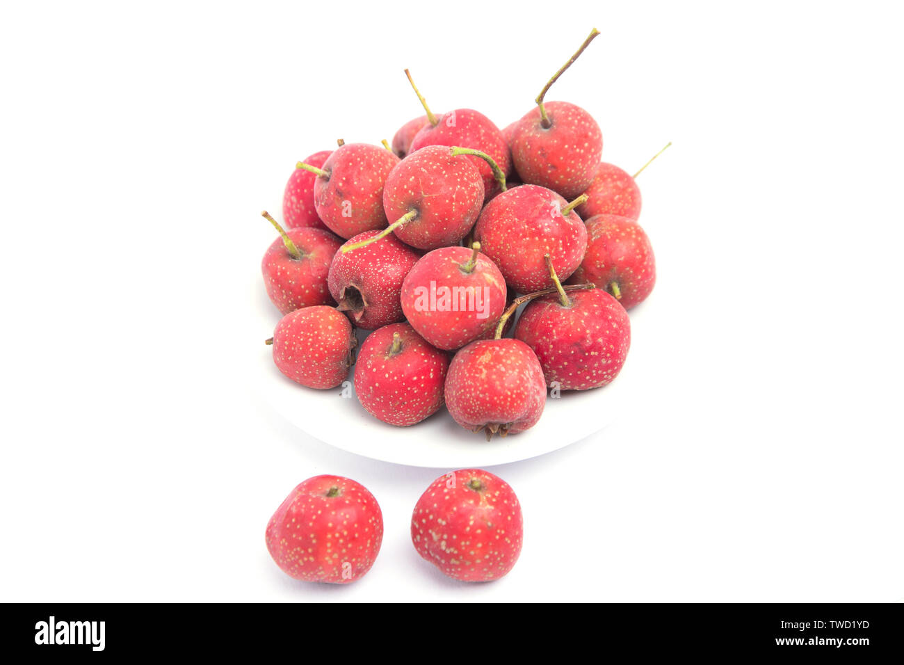 Close up hawthorn fruit Cut Out Stock Images & Pictures - Alamy