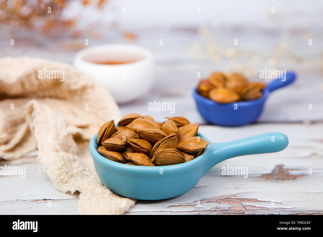 Open little Ginkgo biloba Stock Photo - Alamy