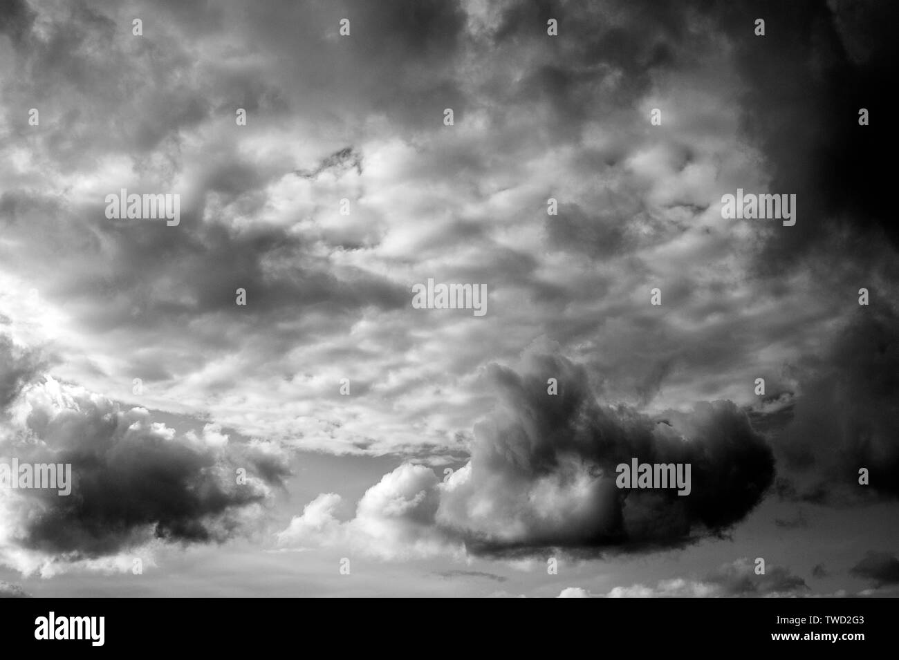 Cumulus congestus clouds with dramatic light near sunset in black and ...