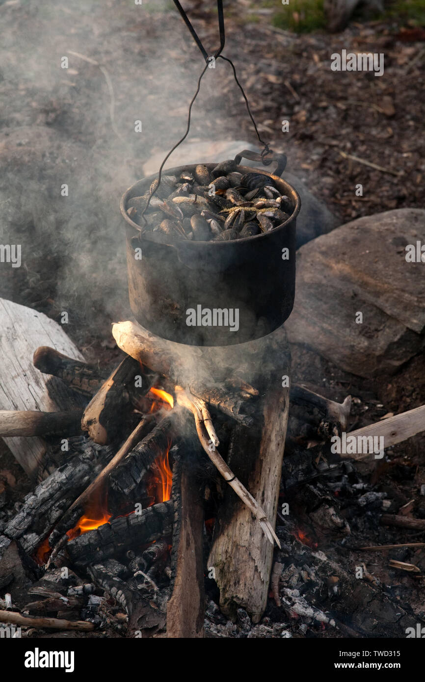 Pot of mussels hi-res stock photography and images - Alamy