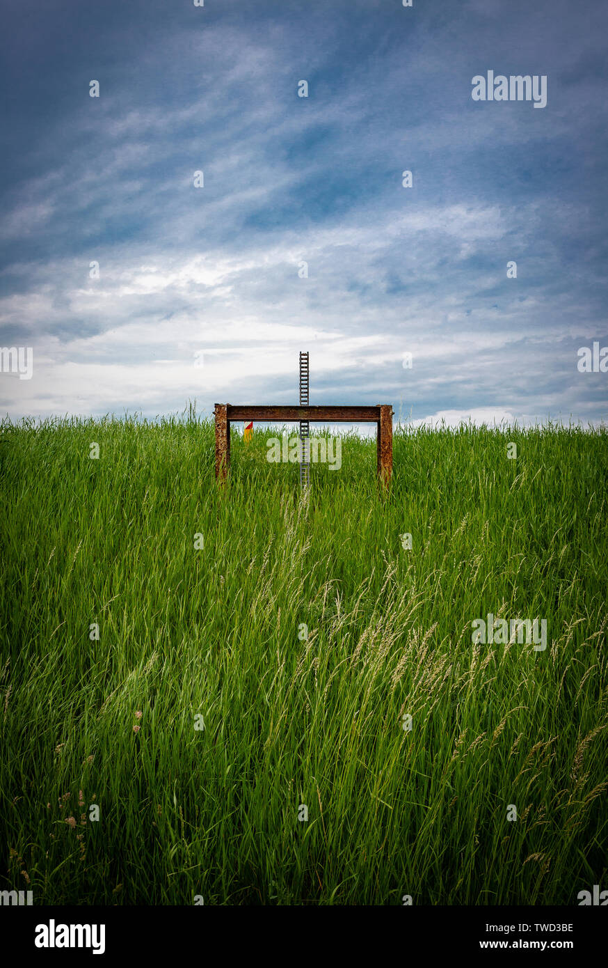 Grass grassy plain hi-res stock photography and images - Alamy