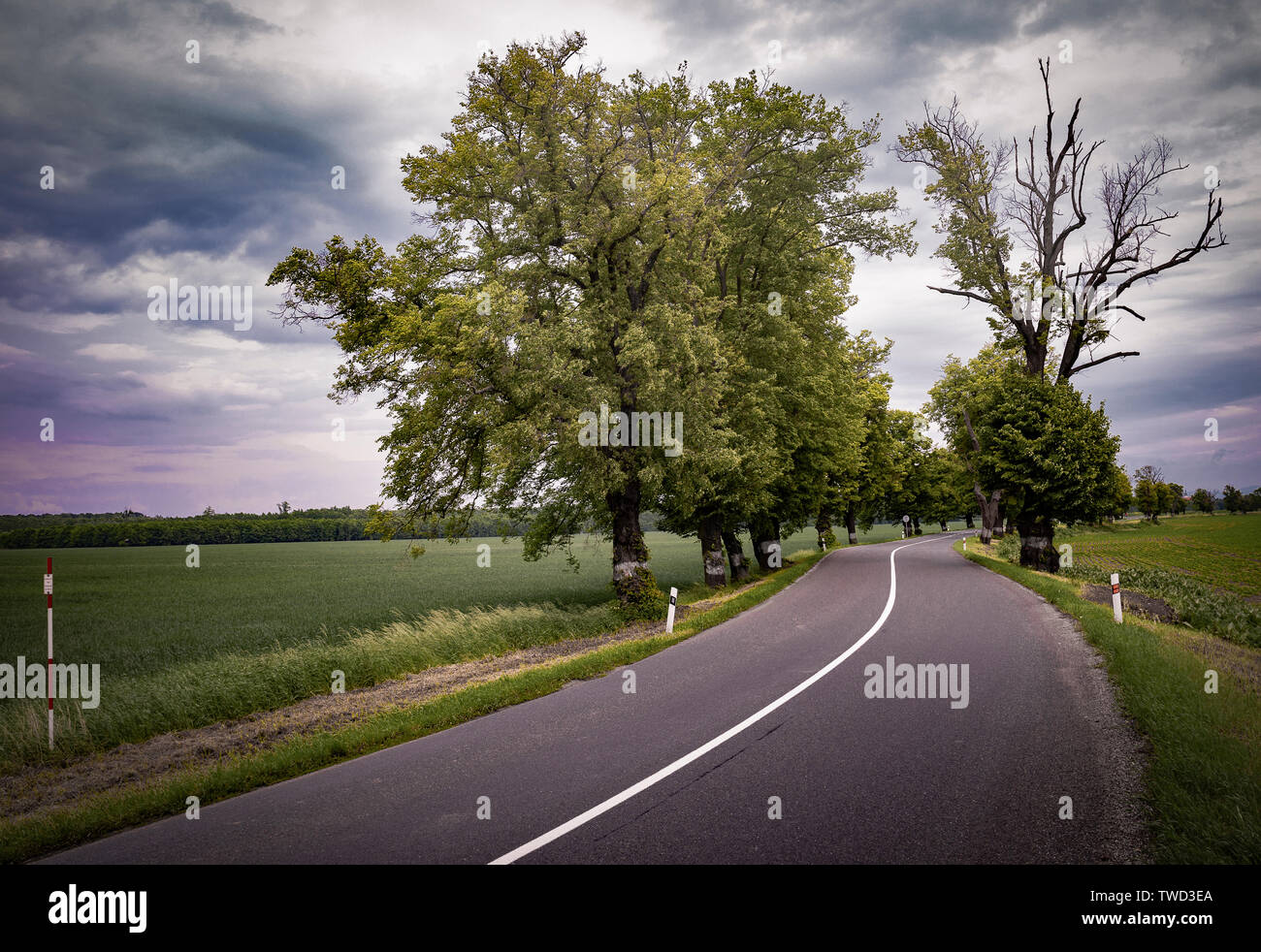Empty asphalt road before the rain Stock Photo - Alamy