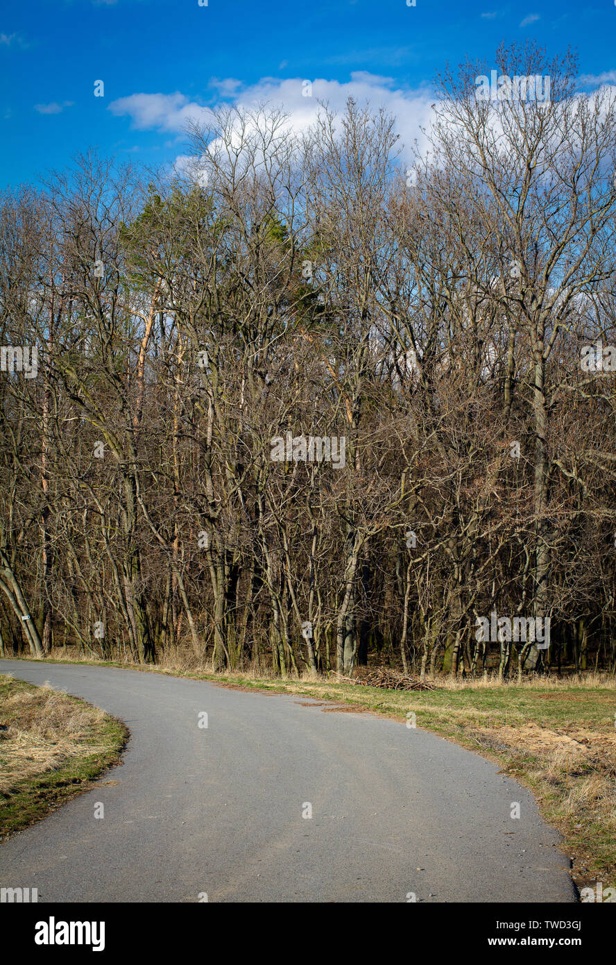Spring wood autumn wood hi-res stock photography and images - Alamy