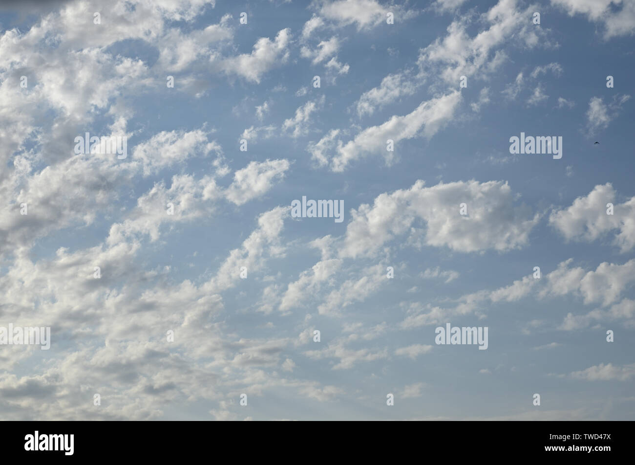 Blue sky with fluffy clouds.Background Stock Photo - Alamy