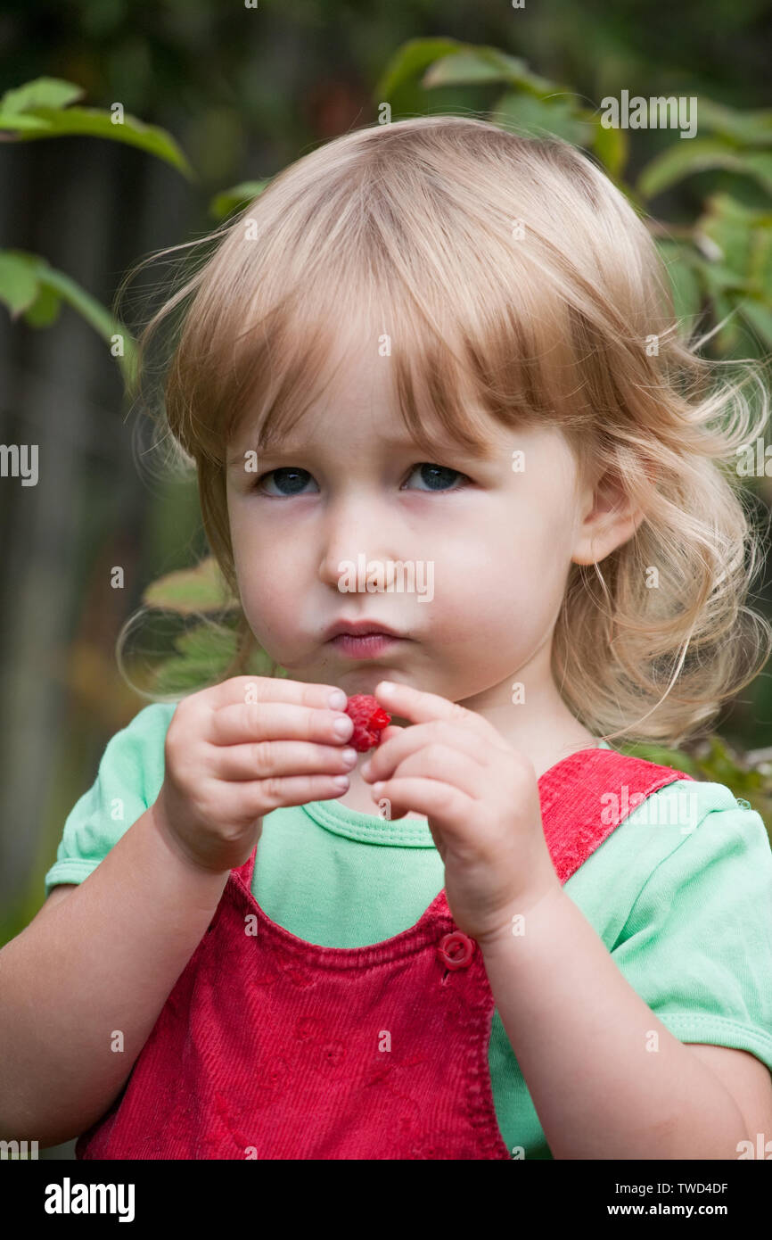 little caucasian girl eating raspberry closeup portrait on summer ...