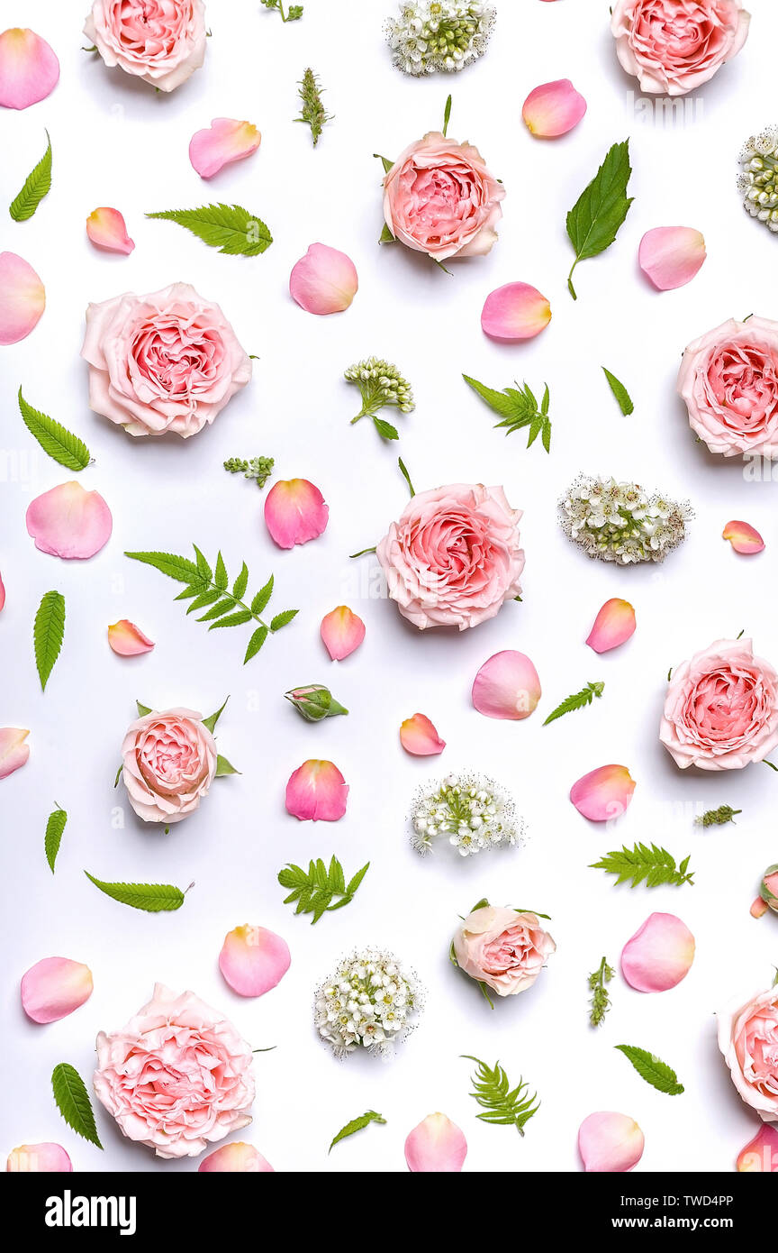 Vertical flower pattern: roses, hawthorn flowers, rowan leaves on a ...