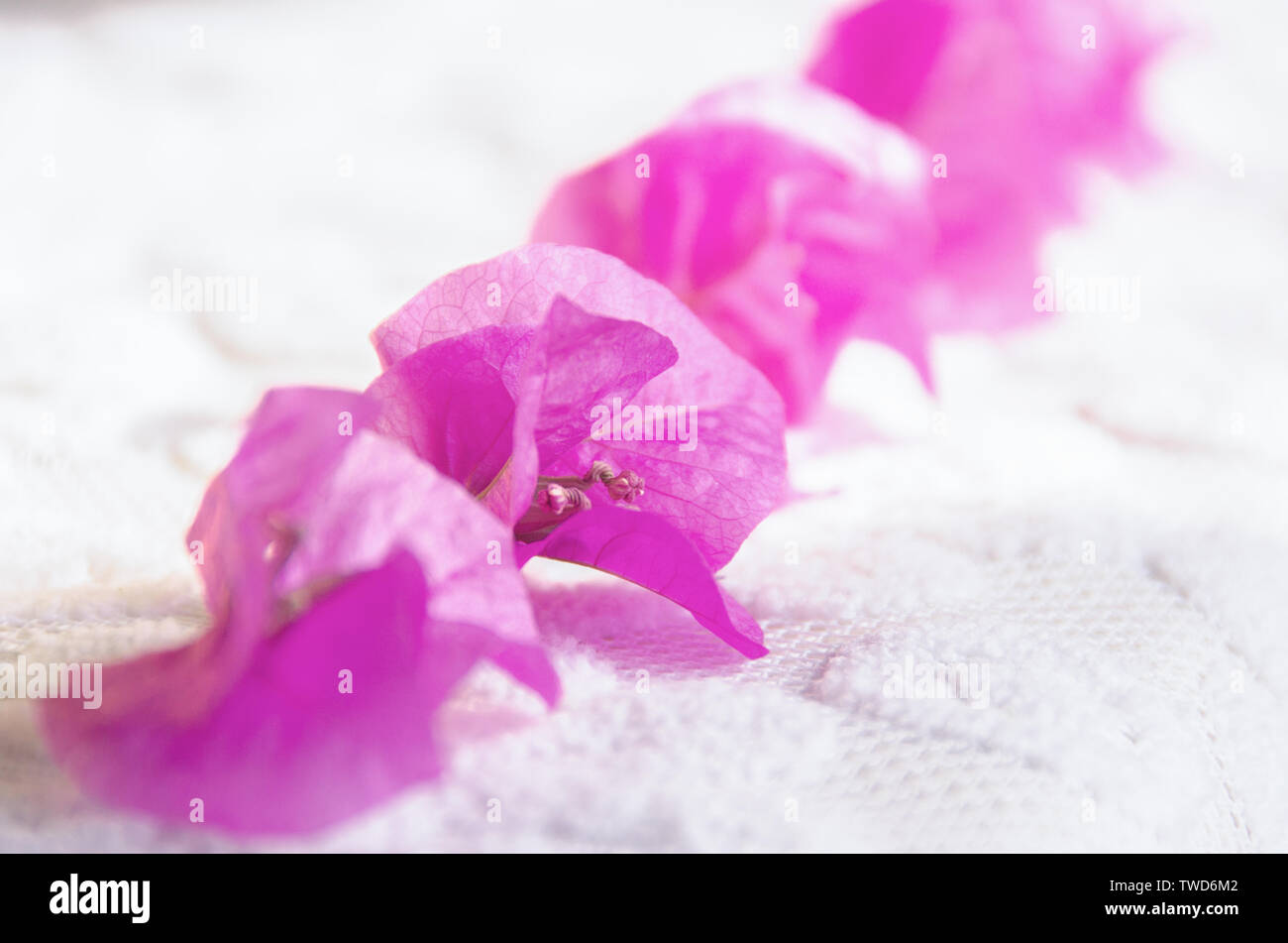 Quiescent hi-res stock photography and images - Alamy