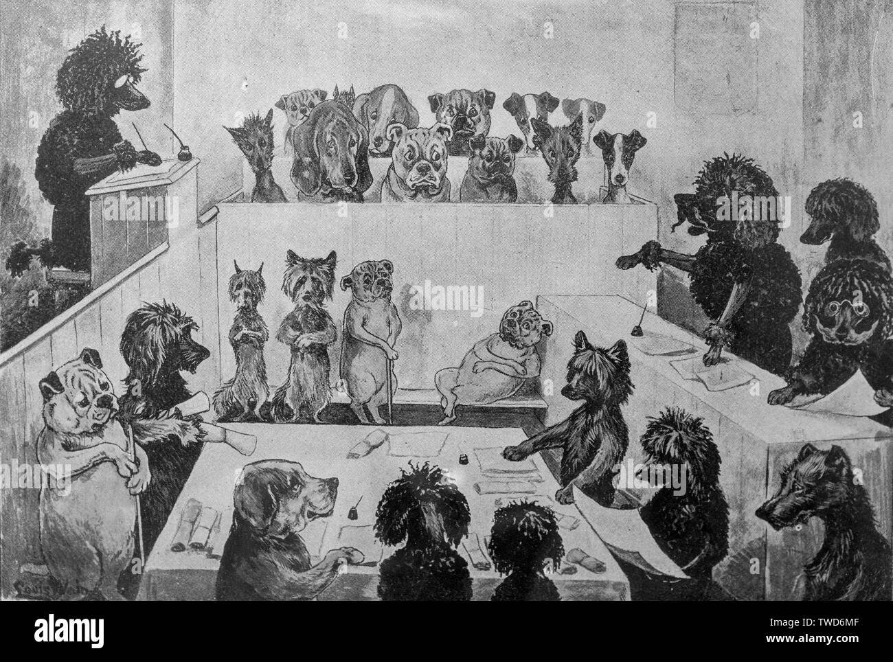 Jury trial by dogs hi-res stock photography and images - Alamy