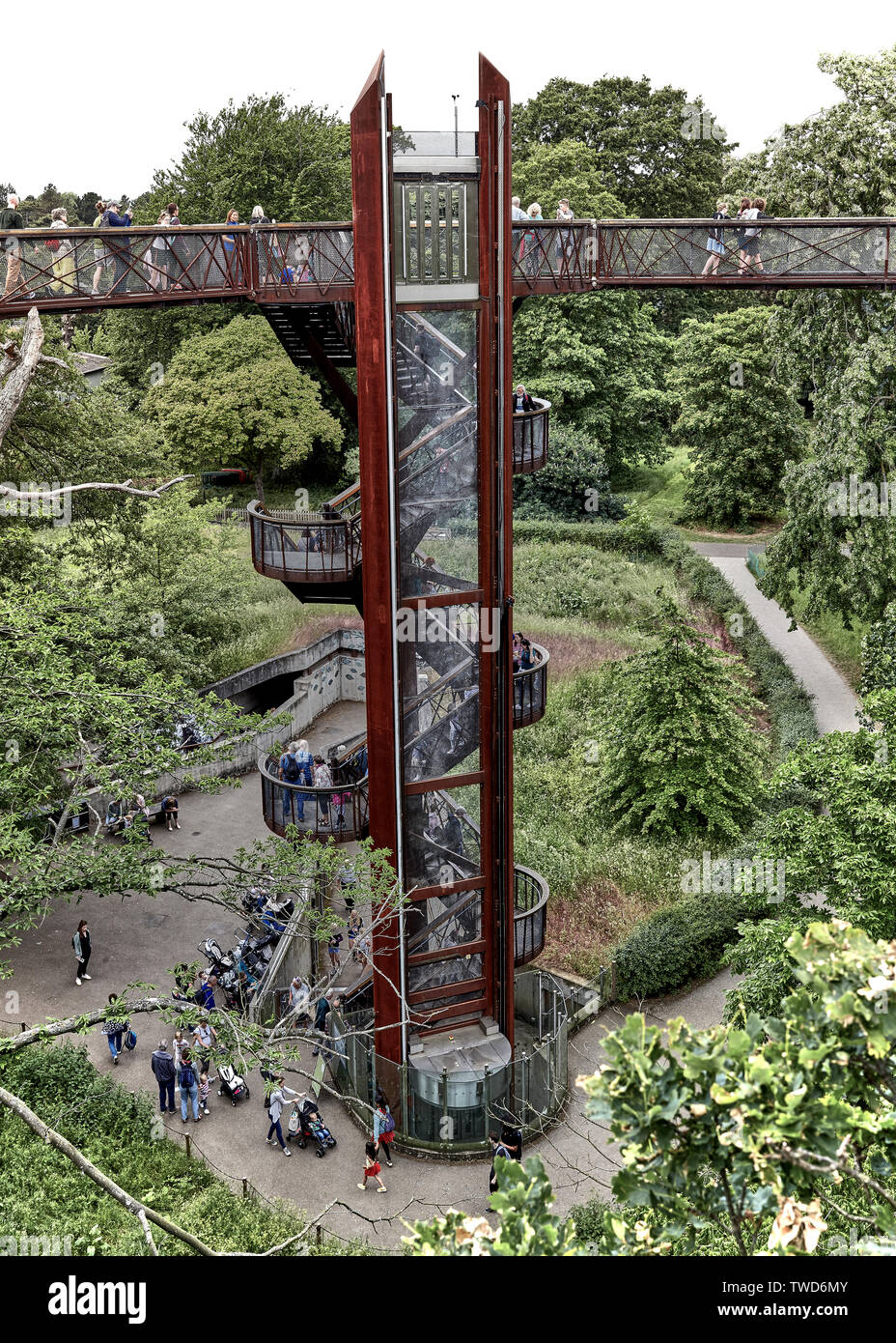 Tree top walk kew gardens hi-res stock photography and images - Alamy
