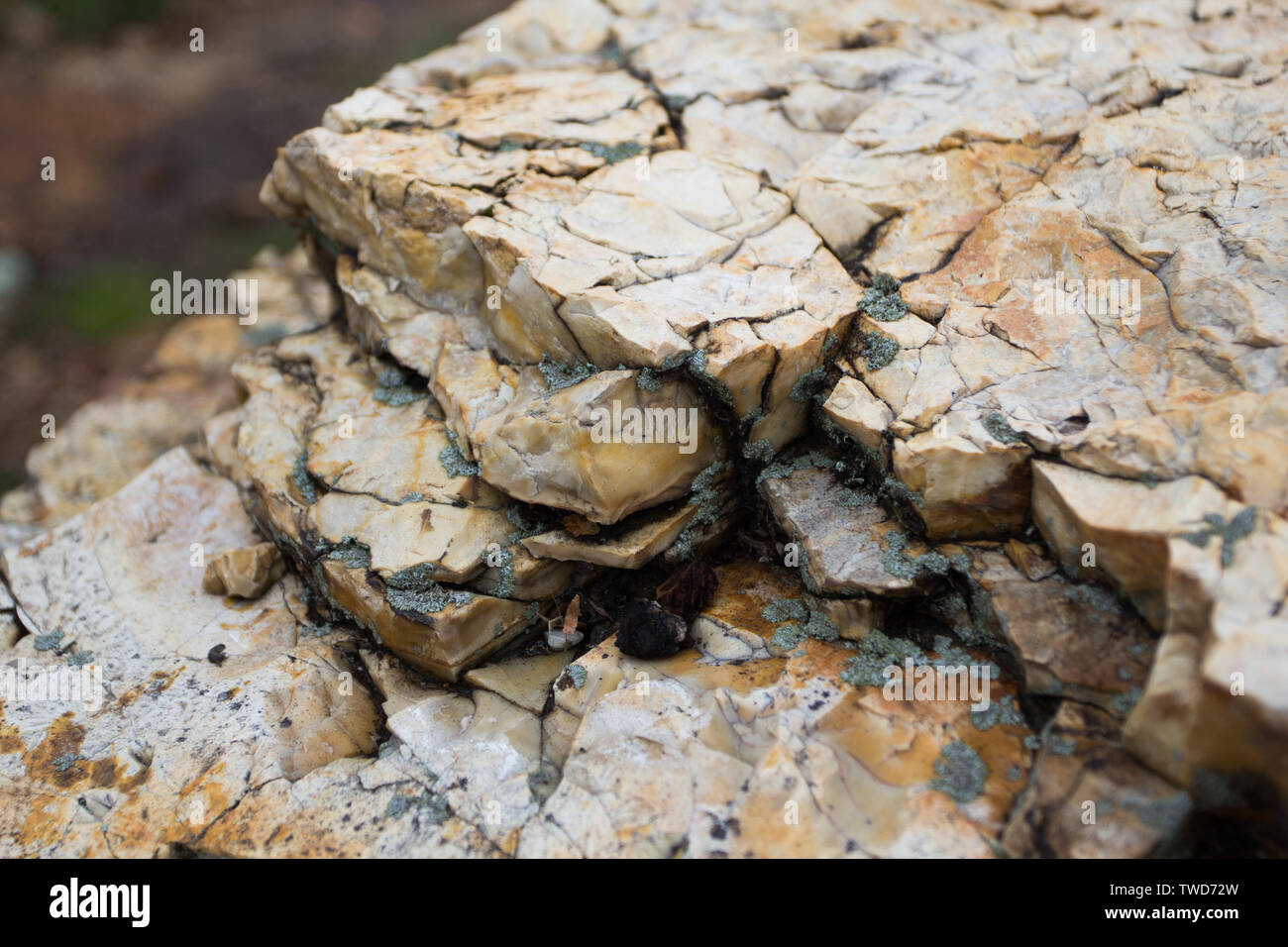 Chert rock hi-res stock photography and images - Alamy