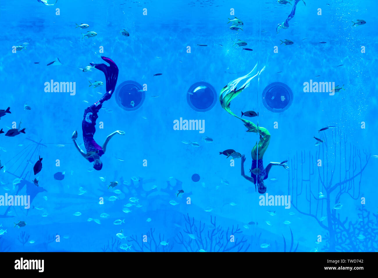 Mermaid performance at Haichang Ocean Park, Shanghai Stock Photo - Alamy