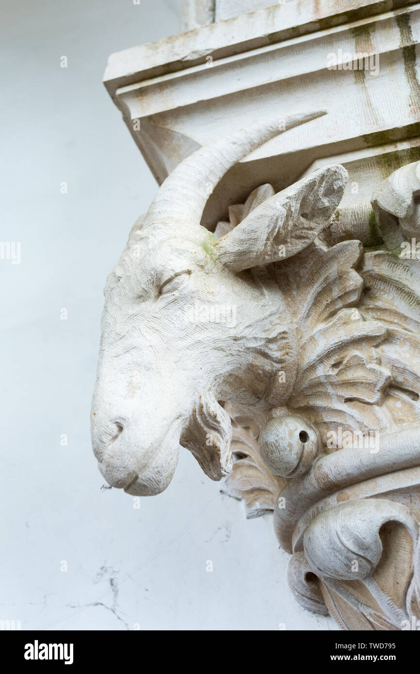 White decorative carved stone gothic goats head on top of pillar of ...