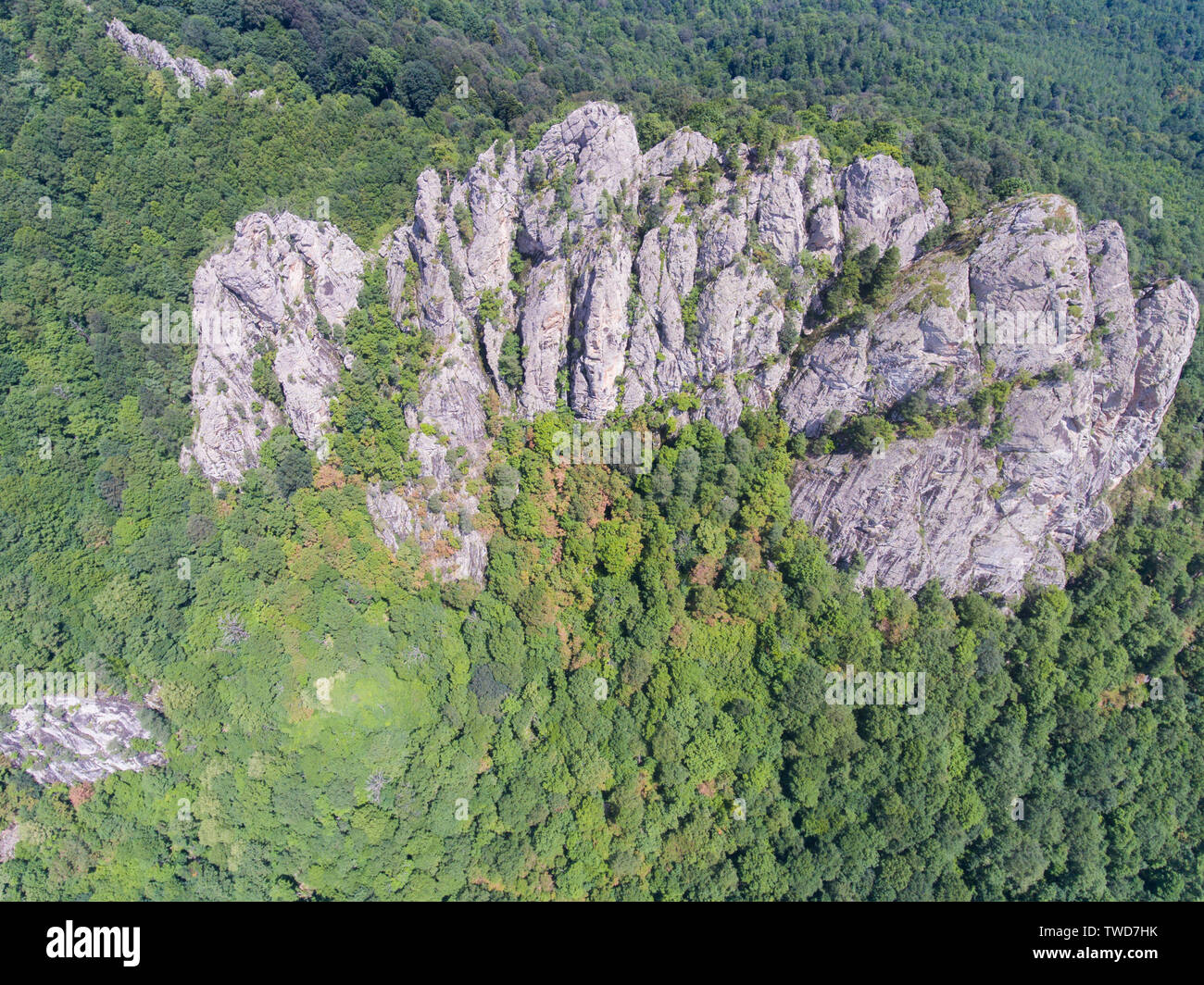 Aerial view. Top view of the rocks in the forest Stock Photo - Alamy