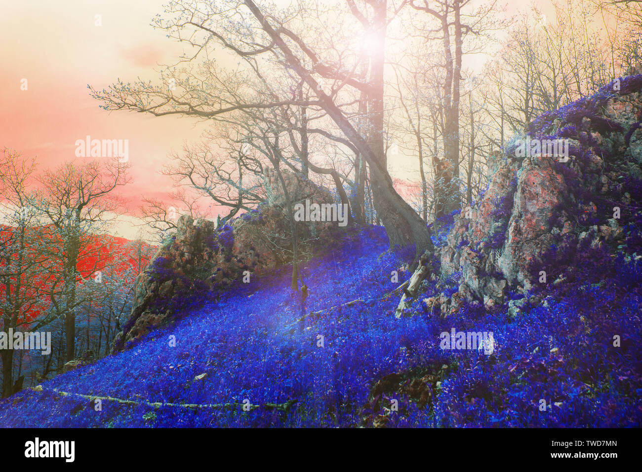 The natural landscape in a fantastic unnatural colors Stock Photo - Alamy